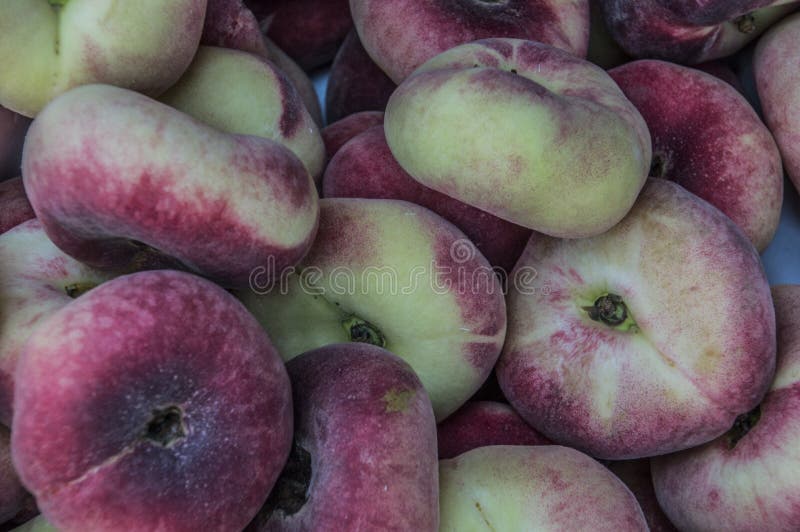 Close Up of Wild Peaches stock image. Image of isolated - 121719949