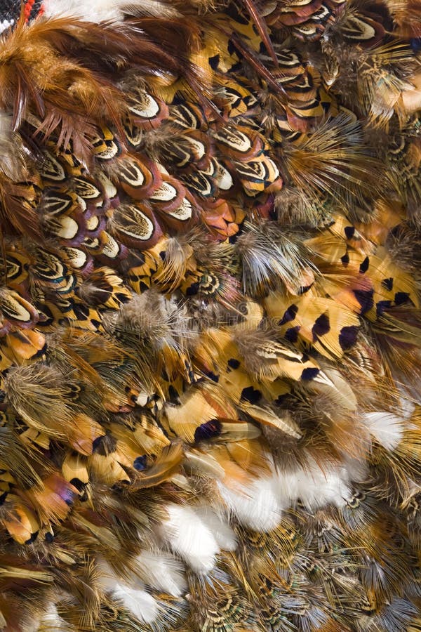 Close Up of Maori Feather Cloak Stock Image - Image of beautiful ...