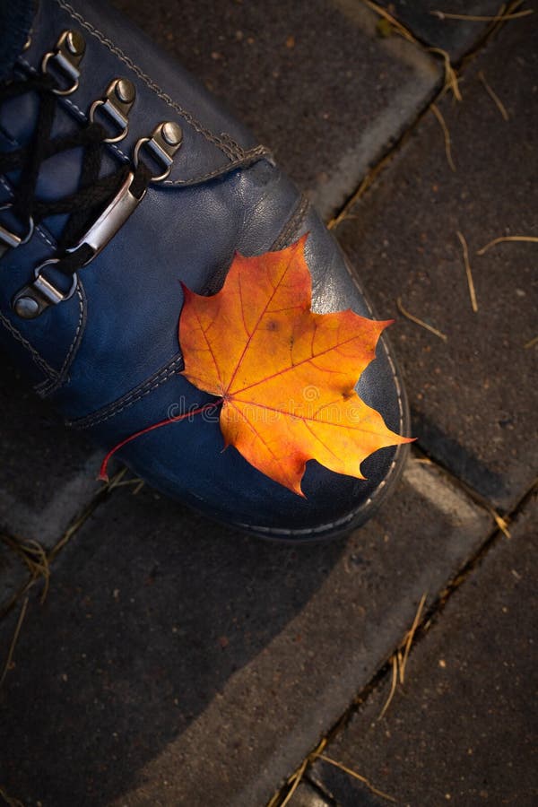 Close Up of Maple Leaf on Boot on Track in Autumn Park Stock Photo ...