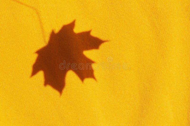 Close-up of Maple Leaf Shadow on Bright Knitted Fabric, Soft Focus ...