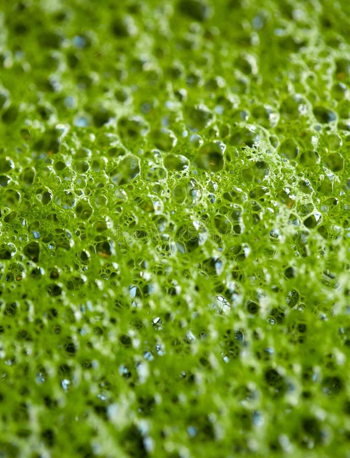 Close Up of Matcha Green Tea Latte Foam Bubbles Stock Photo - Image of ...