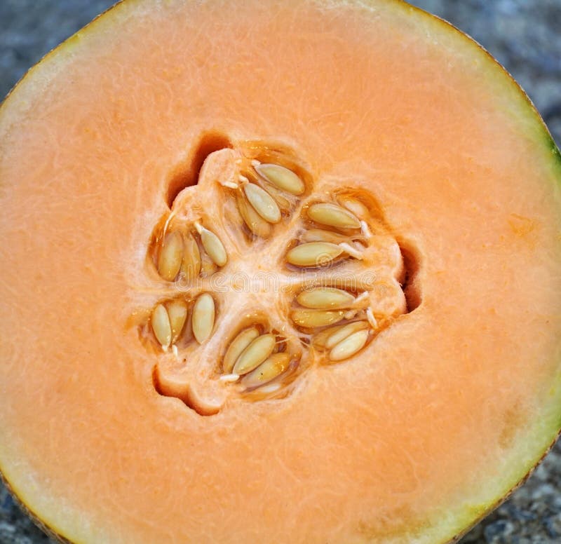 Close Up of a Melon with Seeds Stock Image - Image of cantaloupe, seeds ...