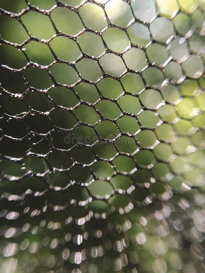 A Close Up of a Mesh Screen with a Green Background Stock Image - Image ...