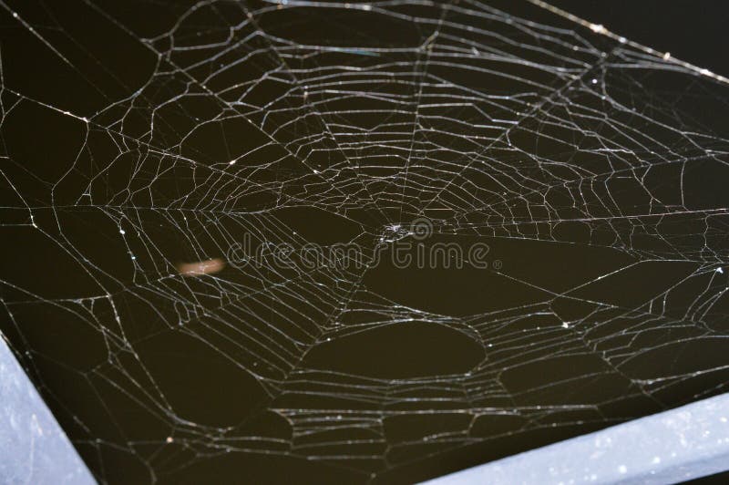 Spider in Cobweb Over a Lake in the Early Morning Hours Stock Photo - Image of front, fall ...