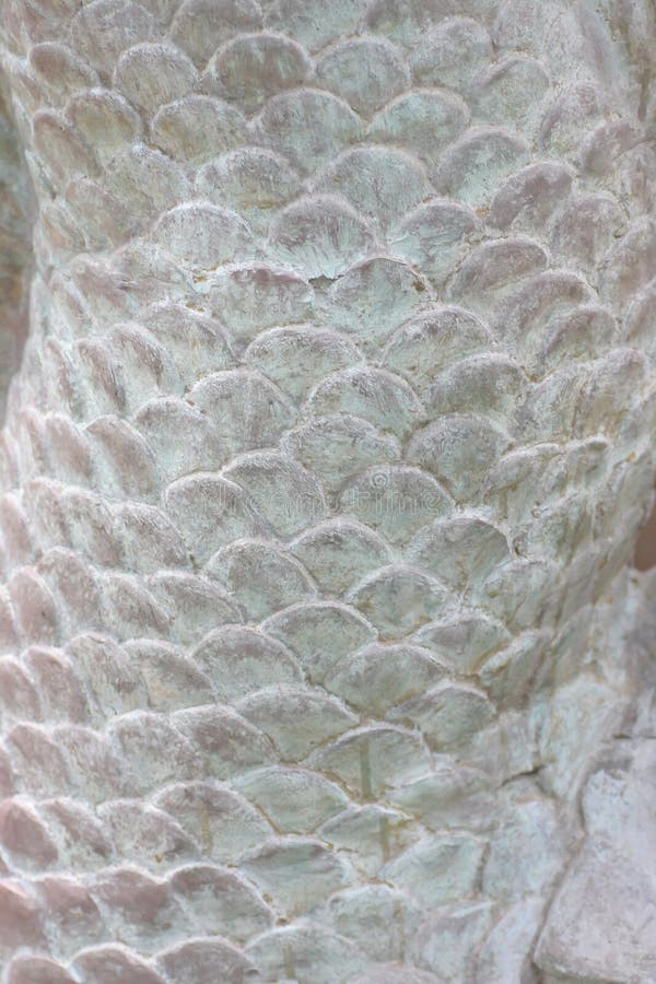 Close Up the Metal of Scales of Fish 15 May 2005 Stock Image - Image of ...