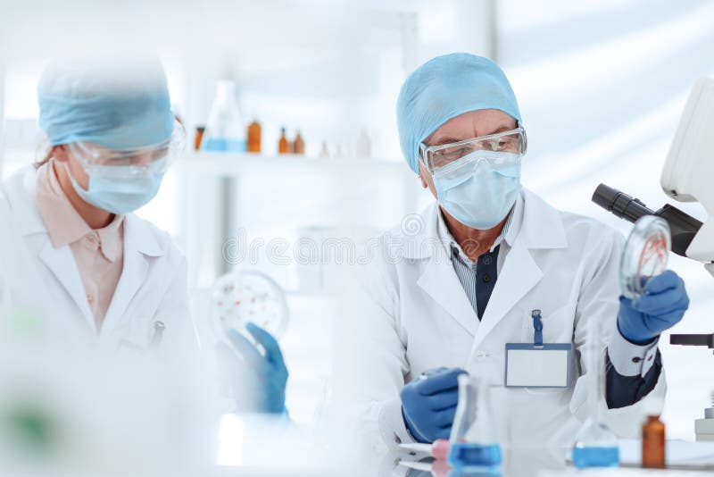 Study of Bacteria Under a Microscope. Stock Image - Image of objective ...