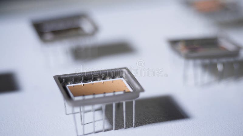 Close-up of Microchip on Legs. Electronic Microchip with Reflecting ...