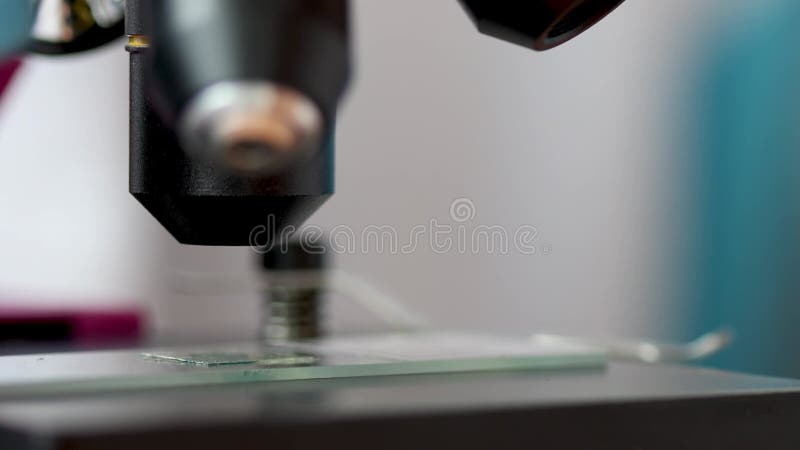 Close-up of Microscope Lens with Sample in Laboratory Stock Video ...