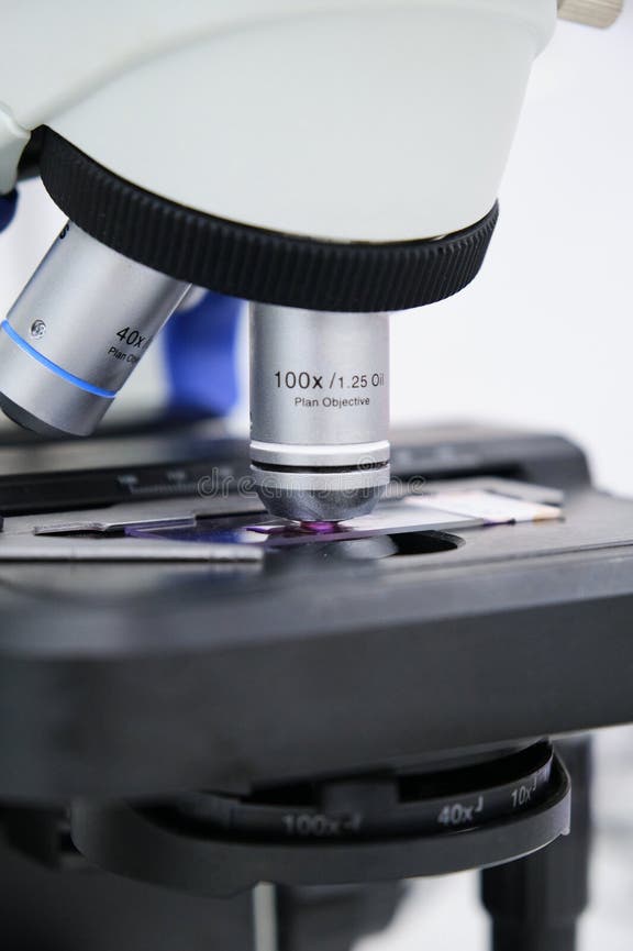 Close Up of Microscope Slide in a Microscope Lens. Stock Image - Image ...