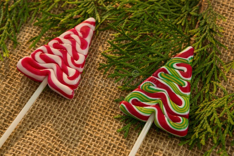 Close Up of Mint Candies with Pine Twigs Stock Photo - Image of jute ...