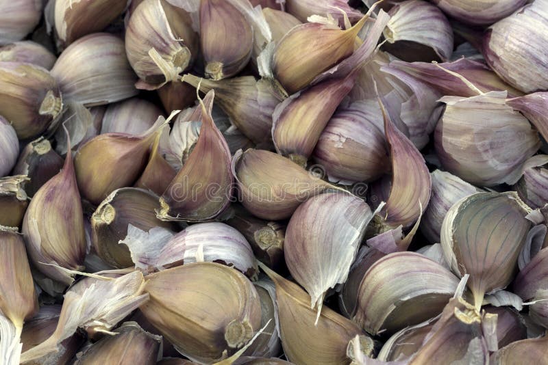 Close up mix of garlic stock photo. Image of food, ingridient - 60732916