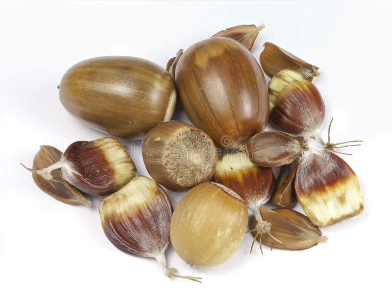 Close Up of Mixed Wild Nuts Stock Photo - Image of autumnal, nature ...