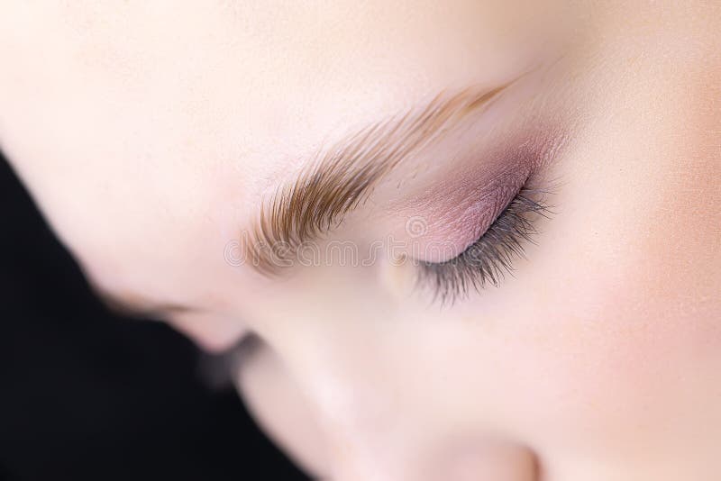 Close-up of the Model`s Combed Eyebrows with the Help of Laminating ...