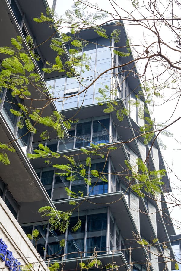 Close-up of Modern Buildings in a City Stock Photo - Image of downtown ...