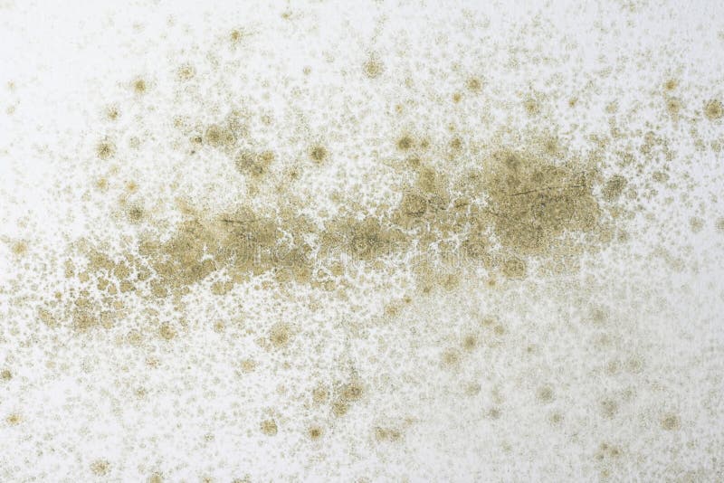 Close-up of Mold on Ceiling. Background Texture Stock Photo - Image of ...