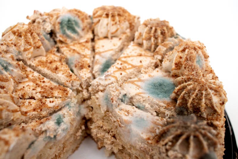 Close Up of Mold Growing on Cake. Green Fungus on the Cake. Stock Photo ...
