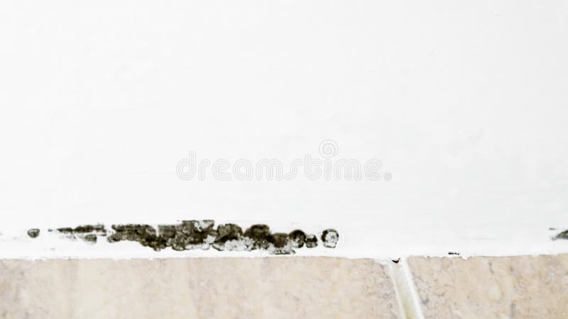 Close-up of Mold Growth on a White Wall Due To Excess Moisture and ...