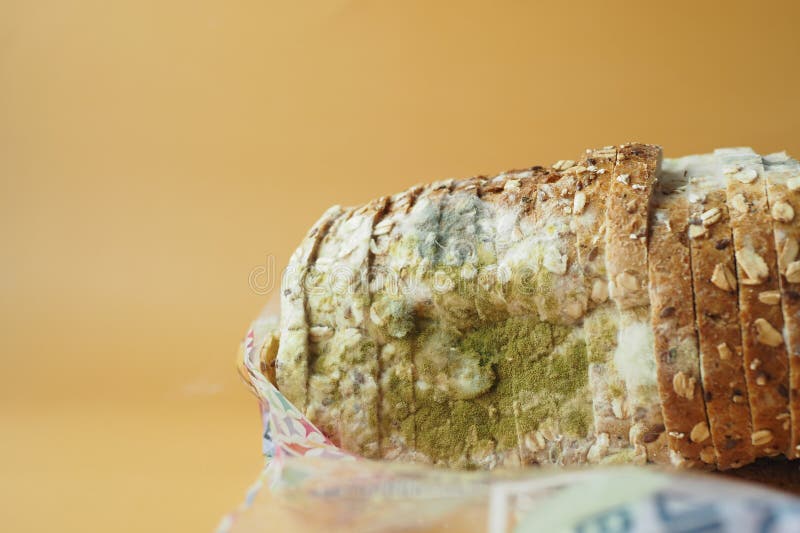 Mold Infested Bread Slice Stock Photos - Free & Royalty-Free Stock ...