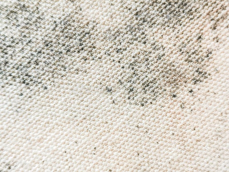 Close-up Mold on the Surface of the Fabric Stock Image - Image of brown ...