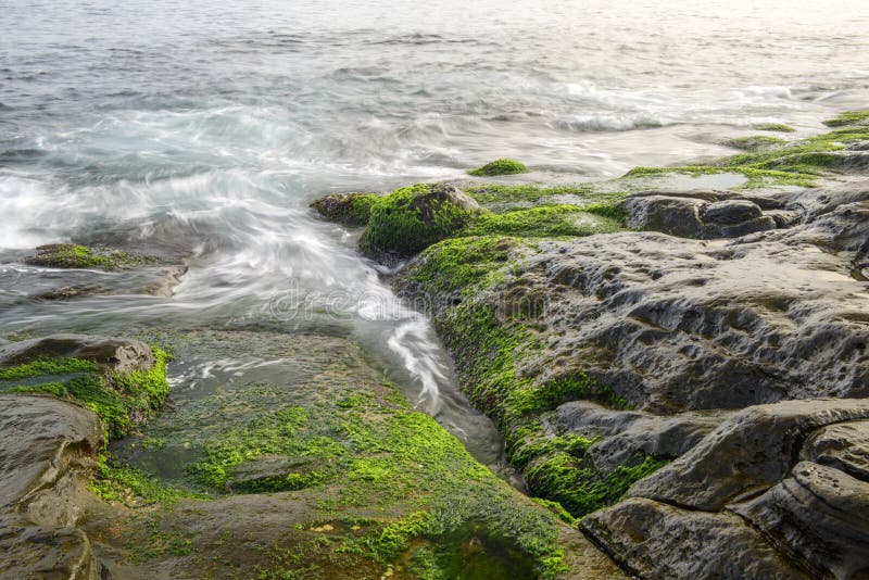 Green Rocks in the Surf of the Ocean Stock Image - Image of alga, green ...