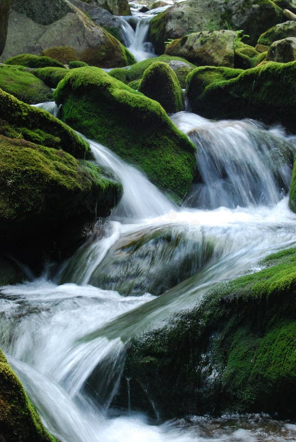 Close Up of Moss Covered Rocks with Spring Creek Flowing Over Them ...