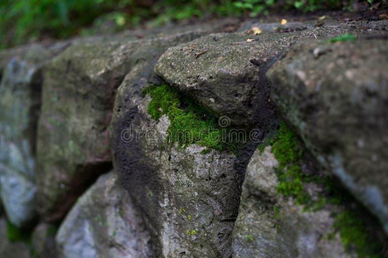 Close-up of a Moss-covered Stone Wall in a Natural Setting. Stock Image ...