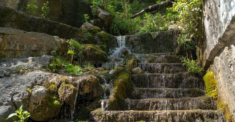 Close Up of Mountain Stream Flowing Down Stone Steps in Summertime ...