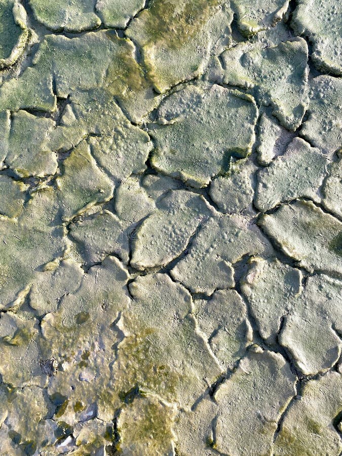 Muddy on the ground stock image. Image of outdoor, texture - 261119361