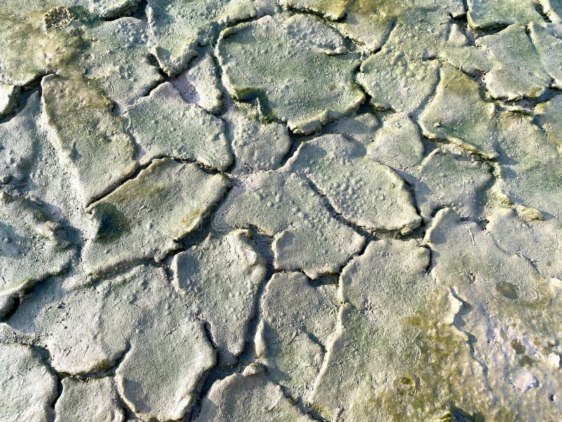 Muddy on the ground stock image. Image of environment - 261119375