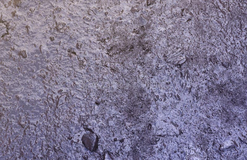 Close Up of Muddy Puddle with Small Stones on Wet Surface. Background ...
