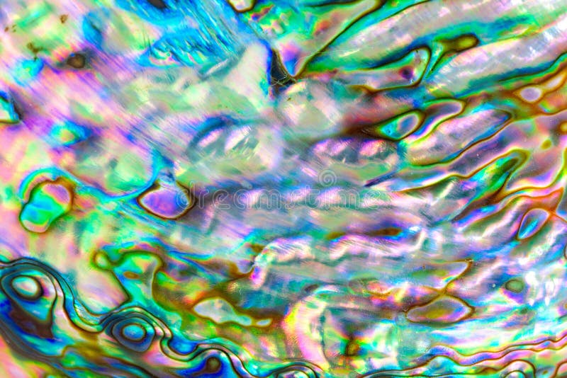 Close Up Multicolour Texture Background of Paua Shell, Haliotis Iris or ...