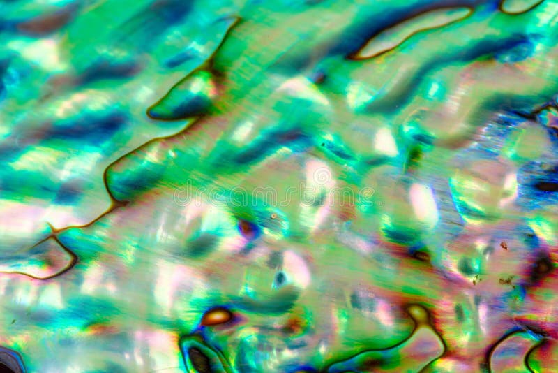 Close Up Multicolour Texture Background of Paua Shell, Haliotis Iris or ...