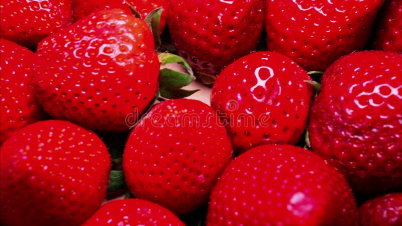 Close Up of Multiple Bright Red Strawber Stock Video - Video of fresh ...