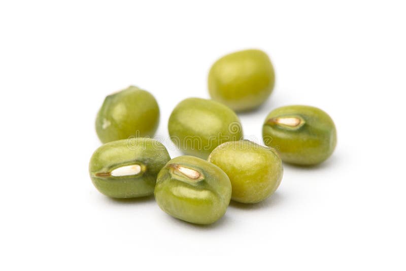 Close-up of Mung Bean Vigna Radiata Seeds Stock Image - Image of beans ... Close-up of Mung Bean Vigna Radiata Seeds Stock Image - Image of beans ...