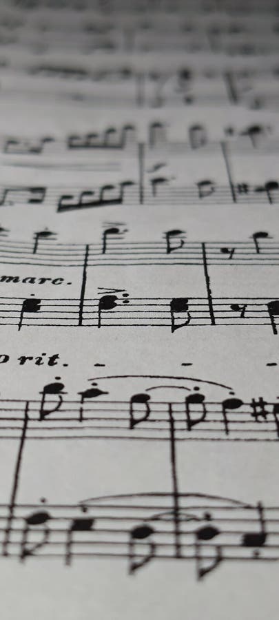 Close-up of Music Notation on a Paper Sheet for Composing Stock Photo ...