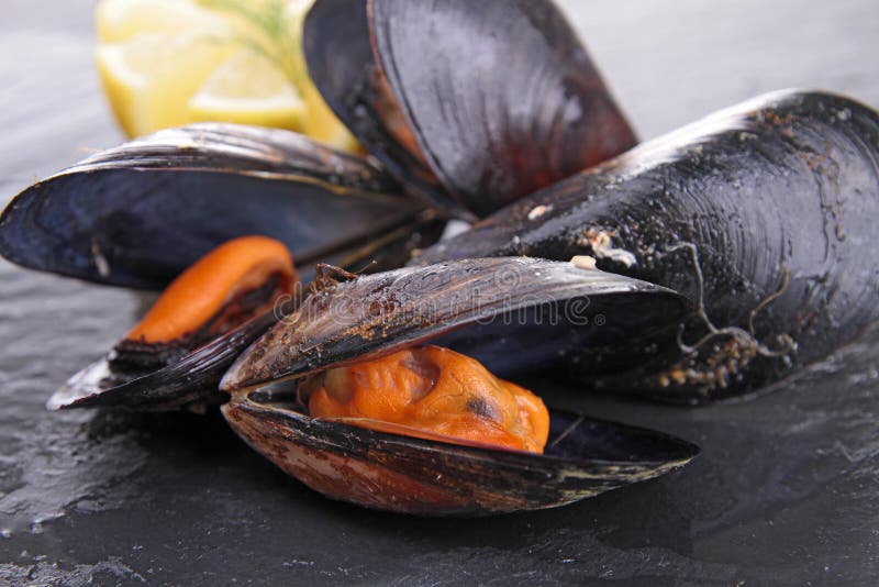 Close up on mussel stock photo. Image of lemon, crustacean - 27643028