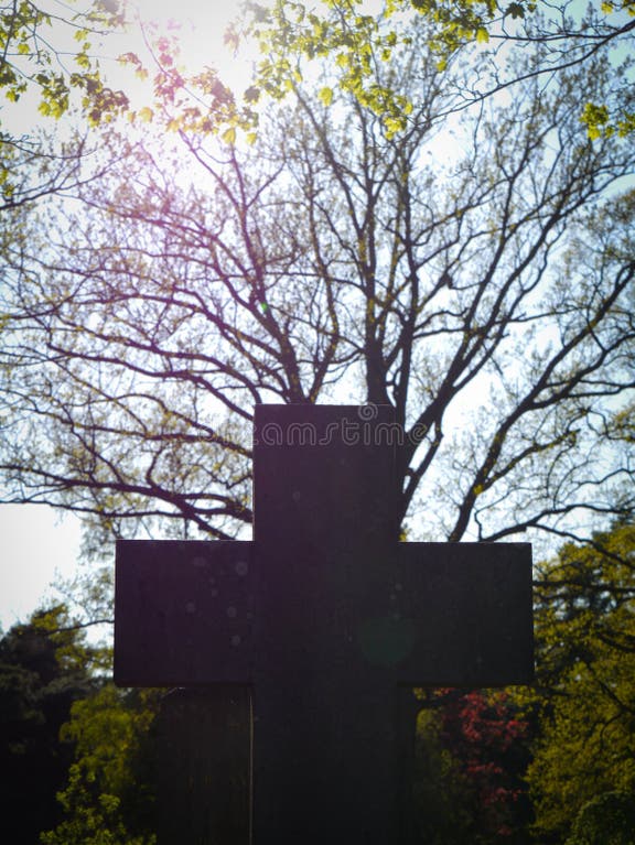 Close Up of a Nameless Grave Stone Stock Photo - Image of woodland ...