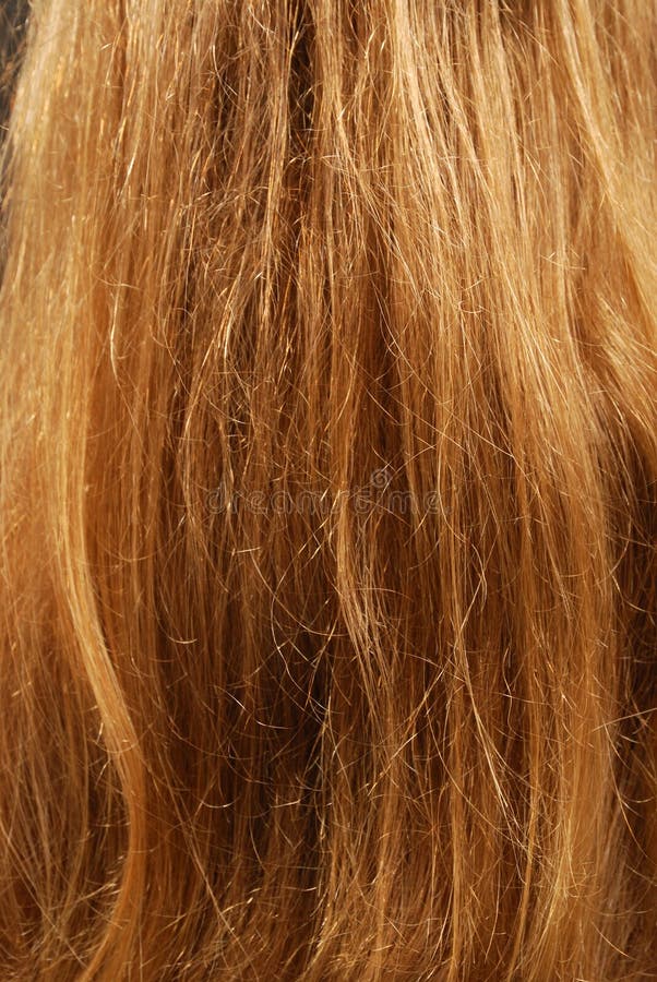 Close-up of Natural Fair Hair Stock Image - Image of female, texture ...