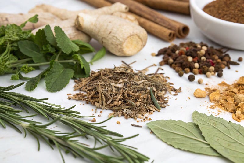 Close-up of Natural Medicinal Ingredients on White Background Stock ...