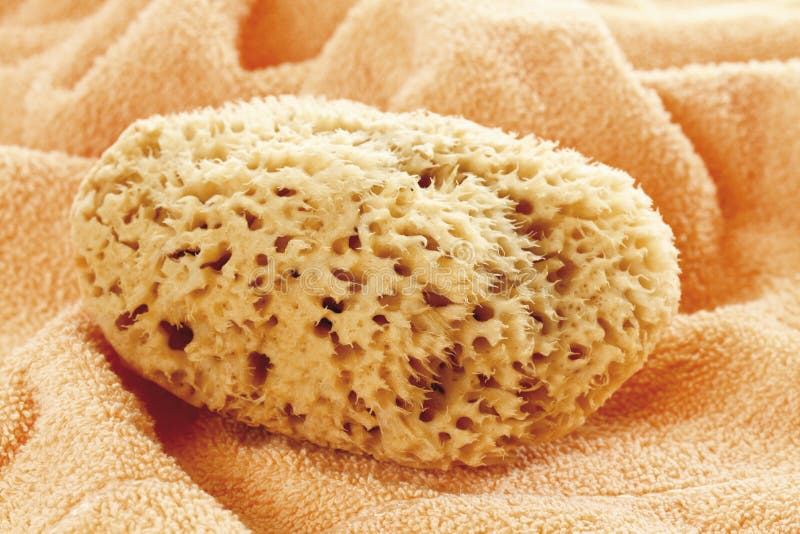 Close Up of Natural Sponge on Towel Stock Image - Image of scrub, peel ...