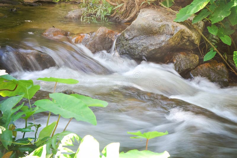 Close Up Natural Stream with Rocks Stock Image - Image of peaceful ...