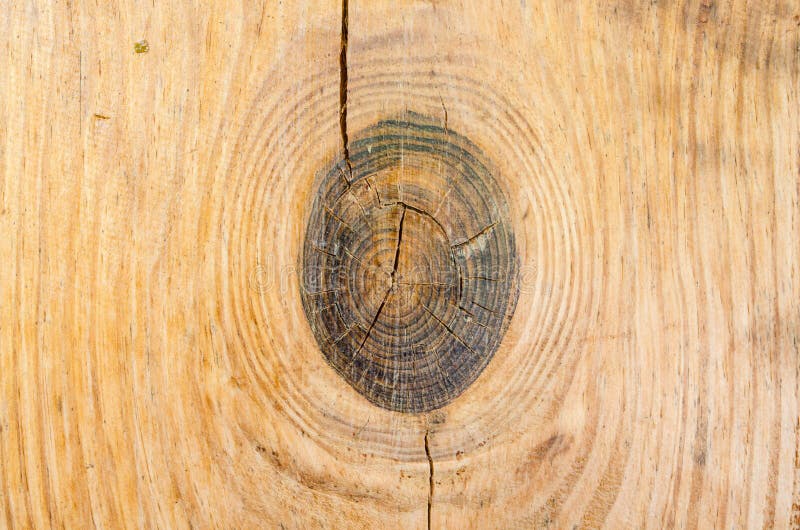 Close-up Natural Wood Board Texture and Background Stock Image - Image ...