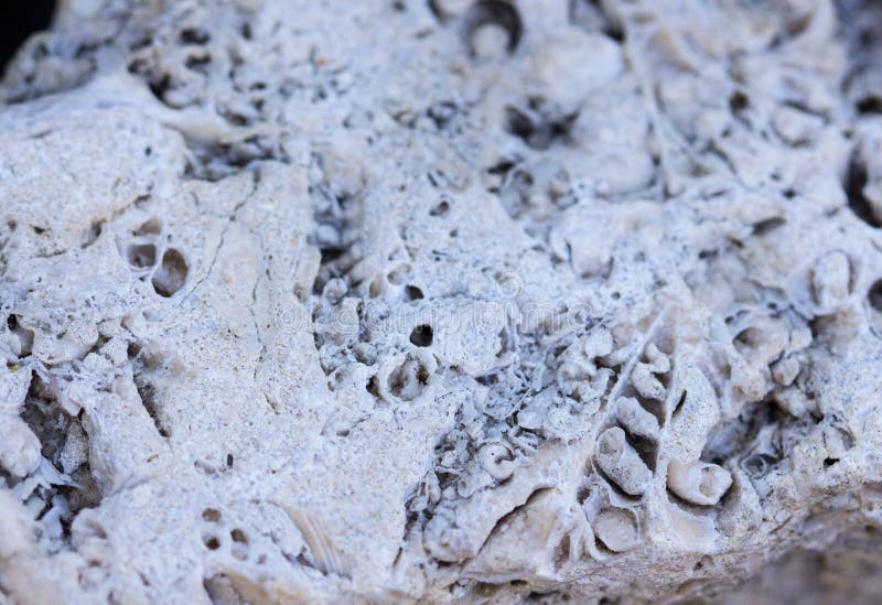 Close Up of a Naturally Eroded Stone with Geometric Pattern Motif Stock ...
