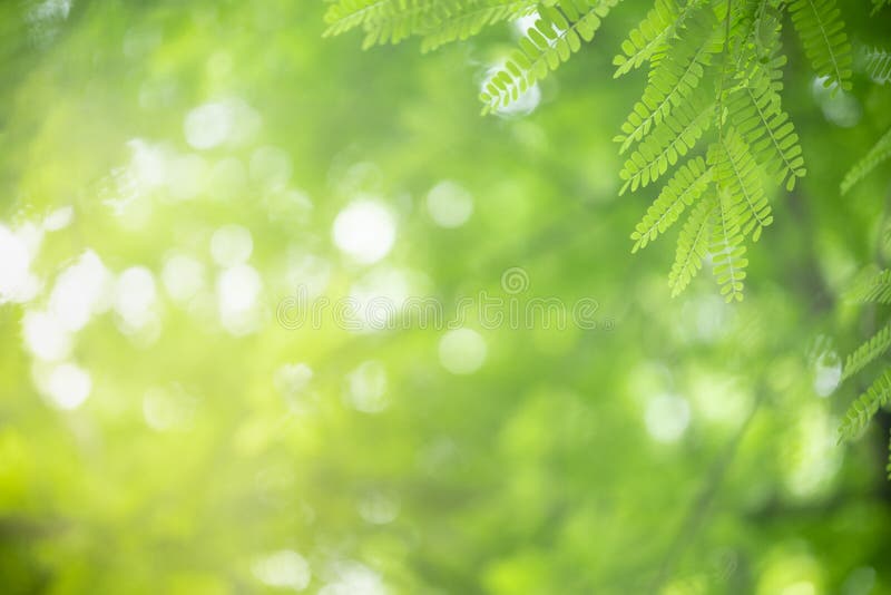 2,000+ Background greenery Free Stock Photos - StockFreeImages