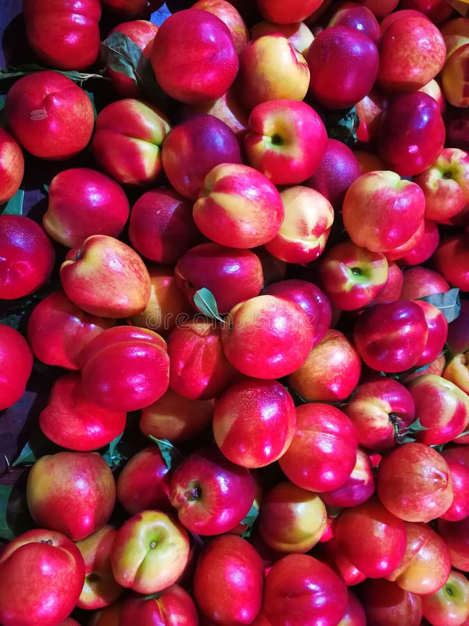 Close-up of nectarine stock photo. Image of close, green - 93553198