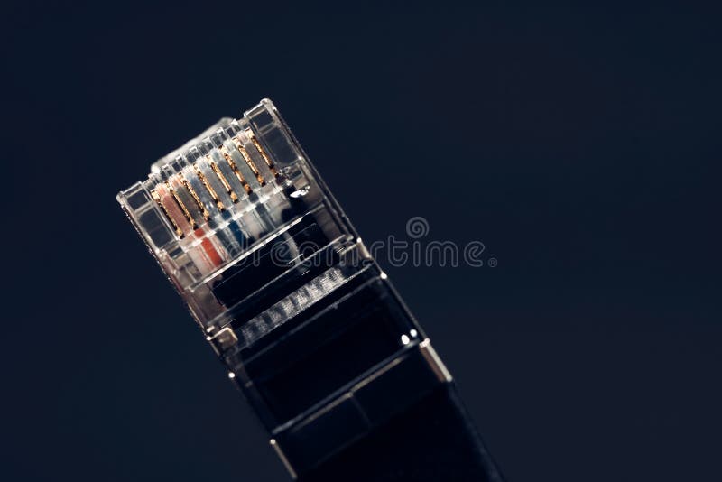 Close-up of a Network Cable Connector Highlighting Its Gold Contacts ...