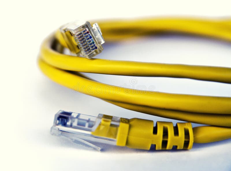 Yellow network cable stock photo. Image of white, internet - 154771076