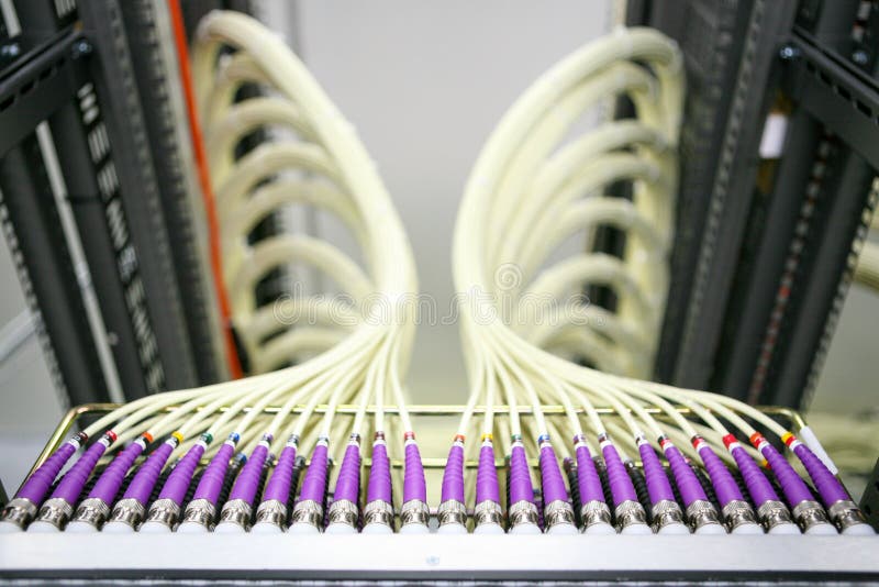 Close Up of Network Fibre Cables Stock Image - Image of close ...