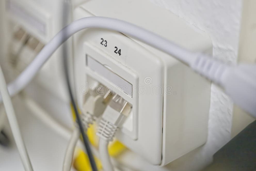 Close-up of Network Wall Socket with Ethernet Cables Stock Photo - Image of person, business ...