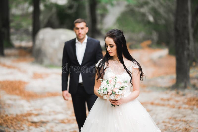 Close Up of a Nice Young Wedding Couple Stock Photo - Image of brunette ...